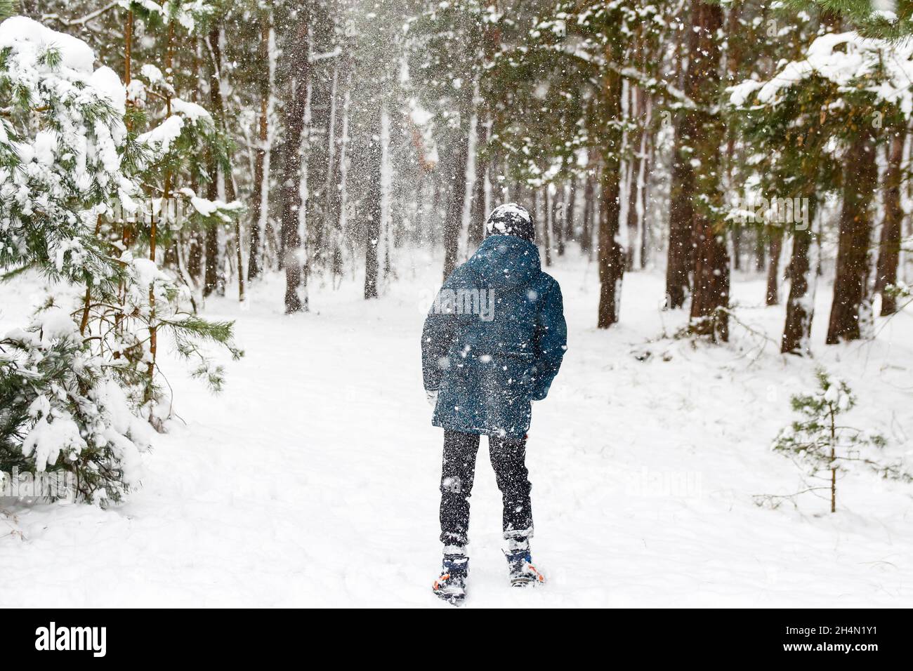 Back view of child boy in Winter forest in snowstorm. Actively spending ...