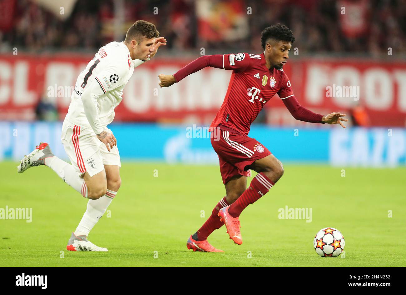 Morato benfica hi-res stock photography and images - Alamy