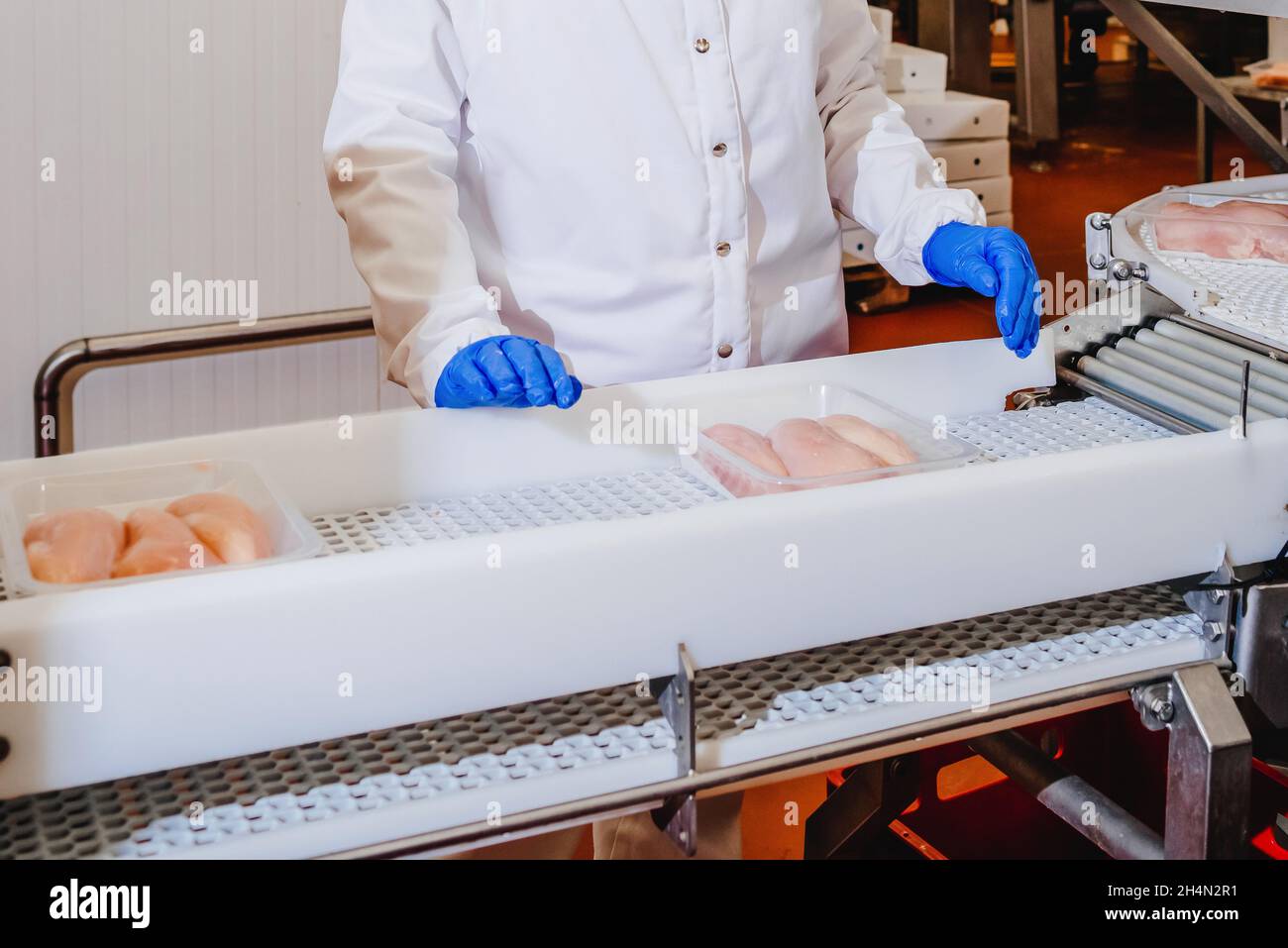Automated production line with packaging and cutting of meat in modern ...