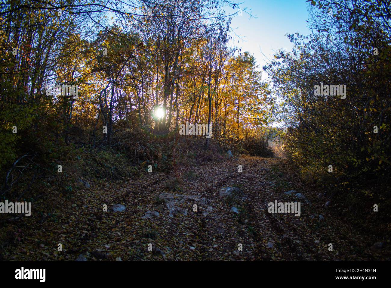 Natural scene on a rocky hiking off road trail. Sun shining all over ...
