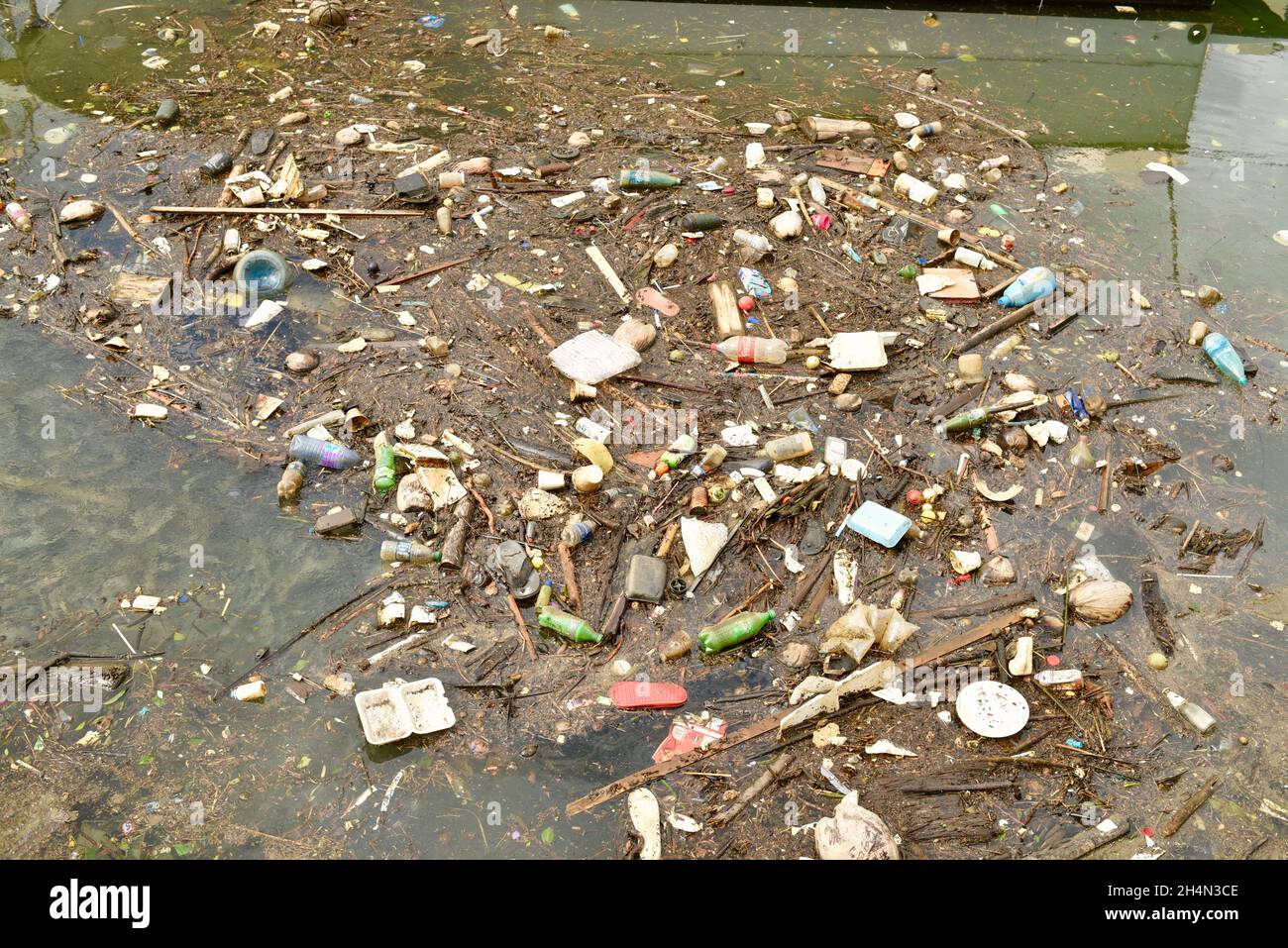 Floating plastic Coca-Cola bottles, Styrofoam clamshells and other ...