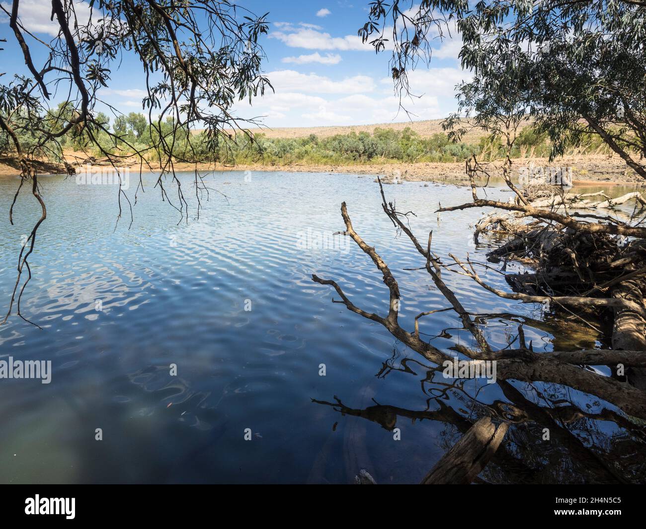Billabong on the Fitzroy River in dry season, Mornington, the Kimberley ...