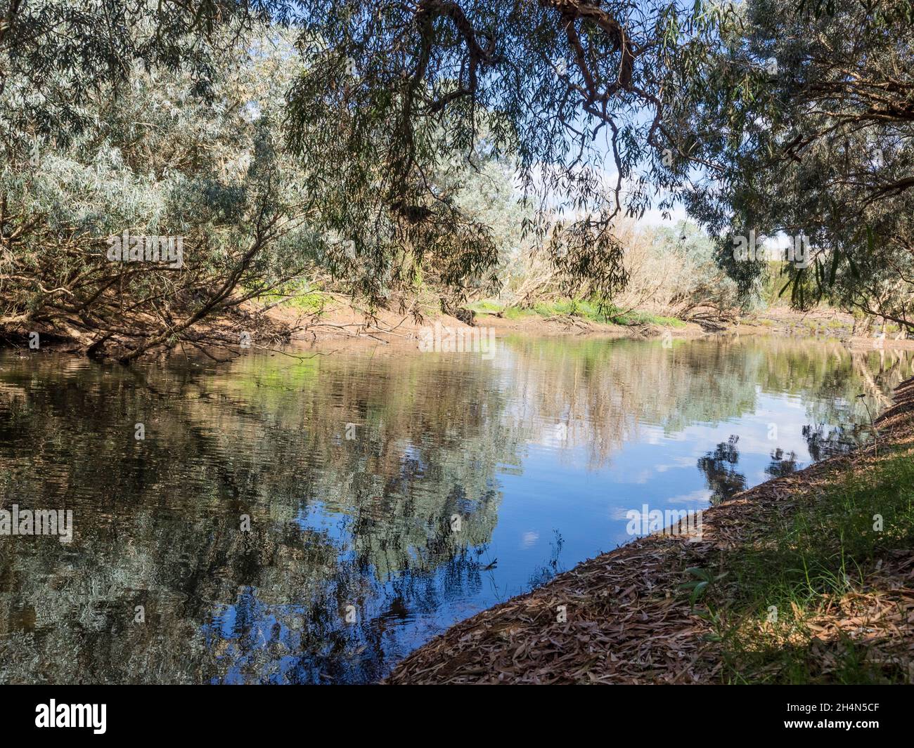 Billabong reflections, Fitzroy River , Monrington, Kimberley, Western Australia Stock Photo - Alamy