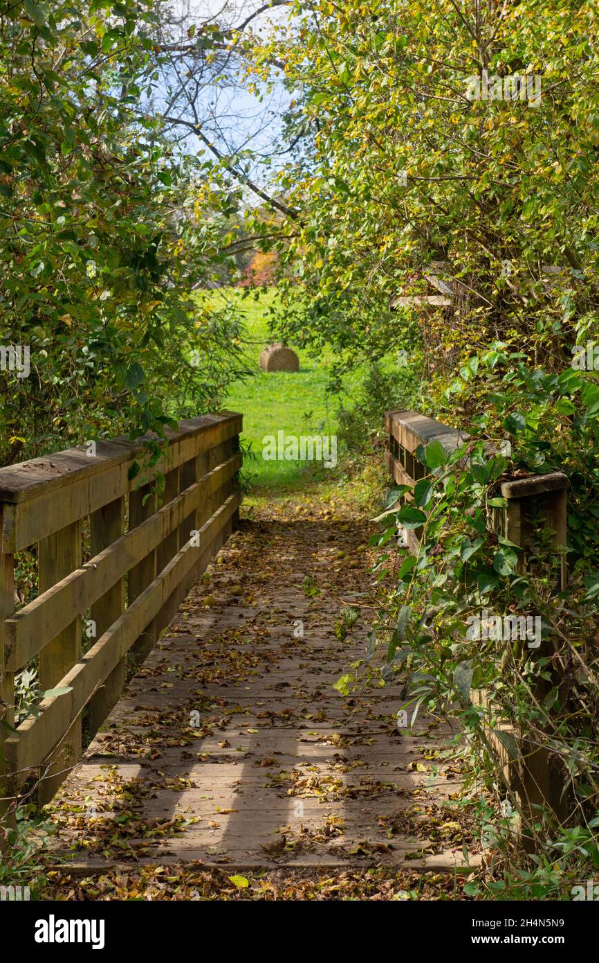 Rustic footbridge hi-res stock photography and images - Alamy