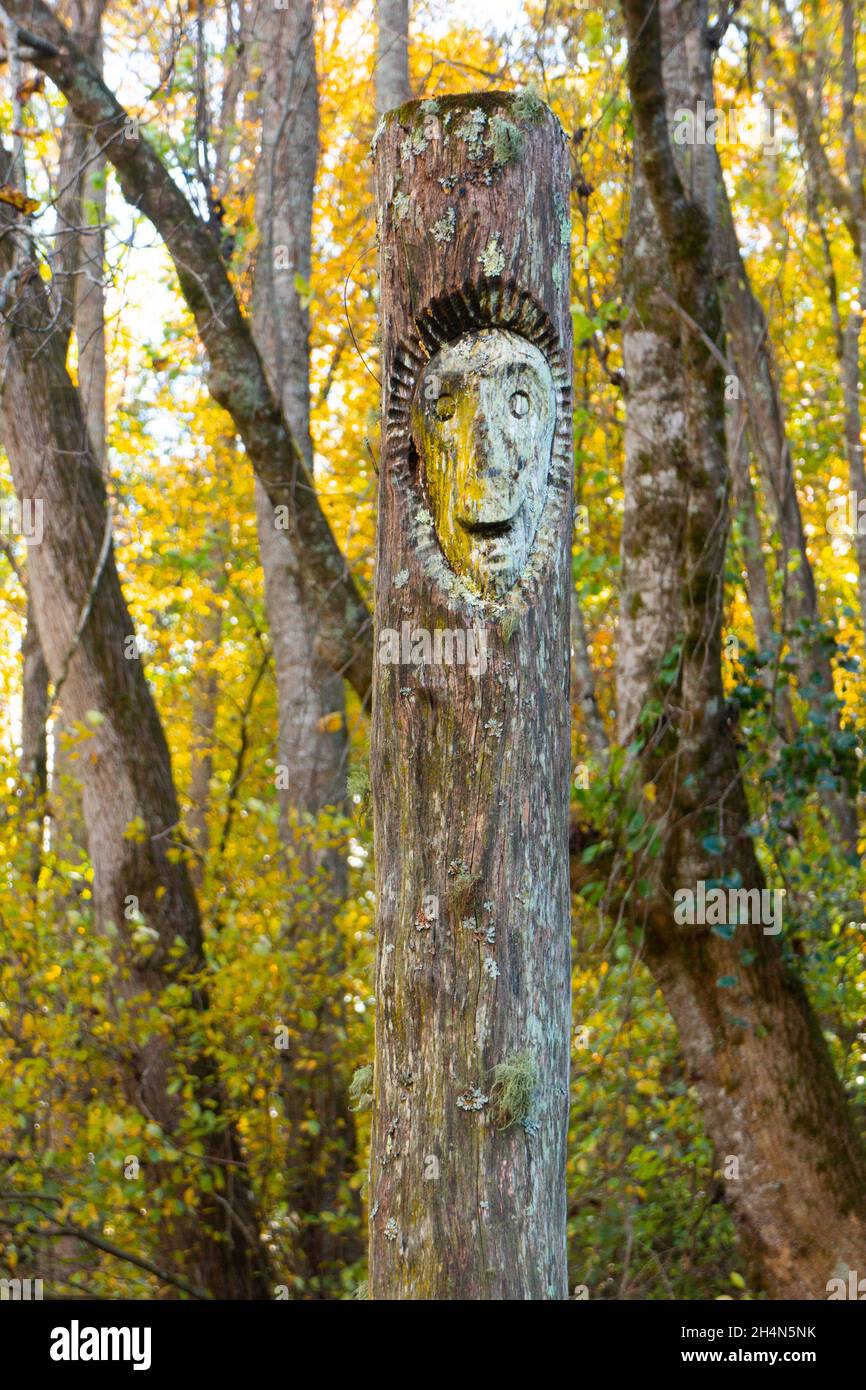 Carved masks in locust poles by Davy Arch. John Campbell Folk School ...