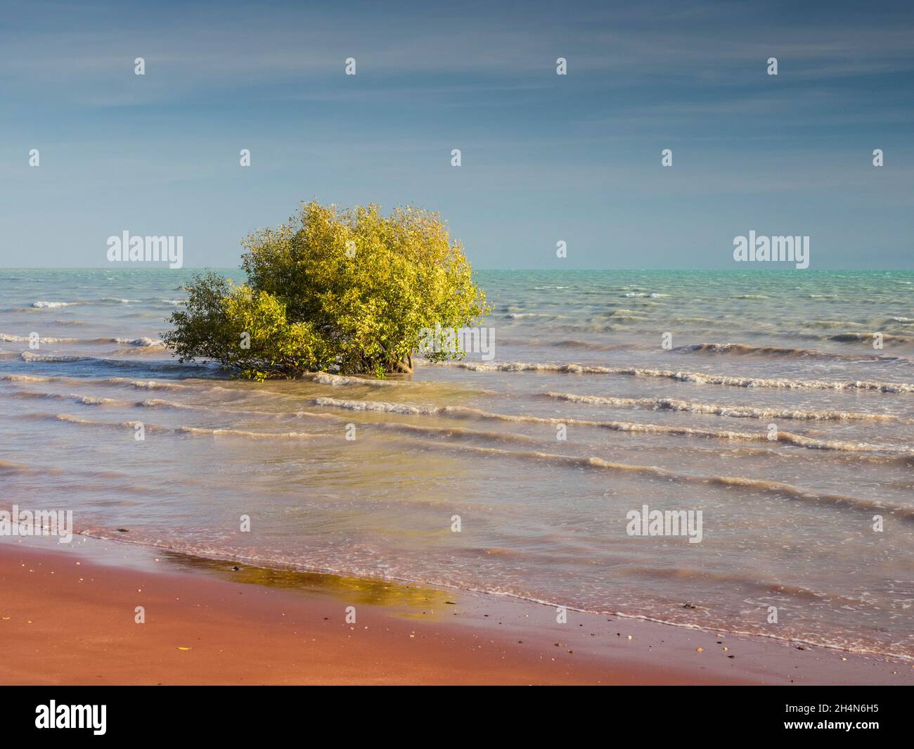 Waves caused by the incoming tide on Roebuck Bay as it races past a ...