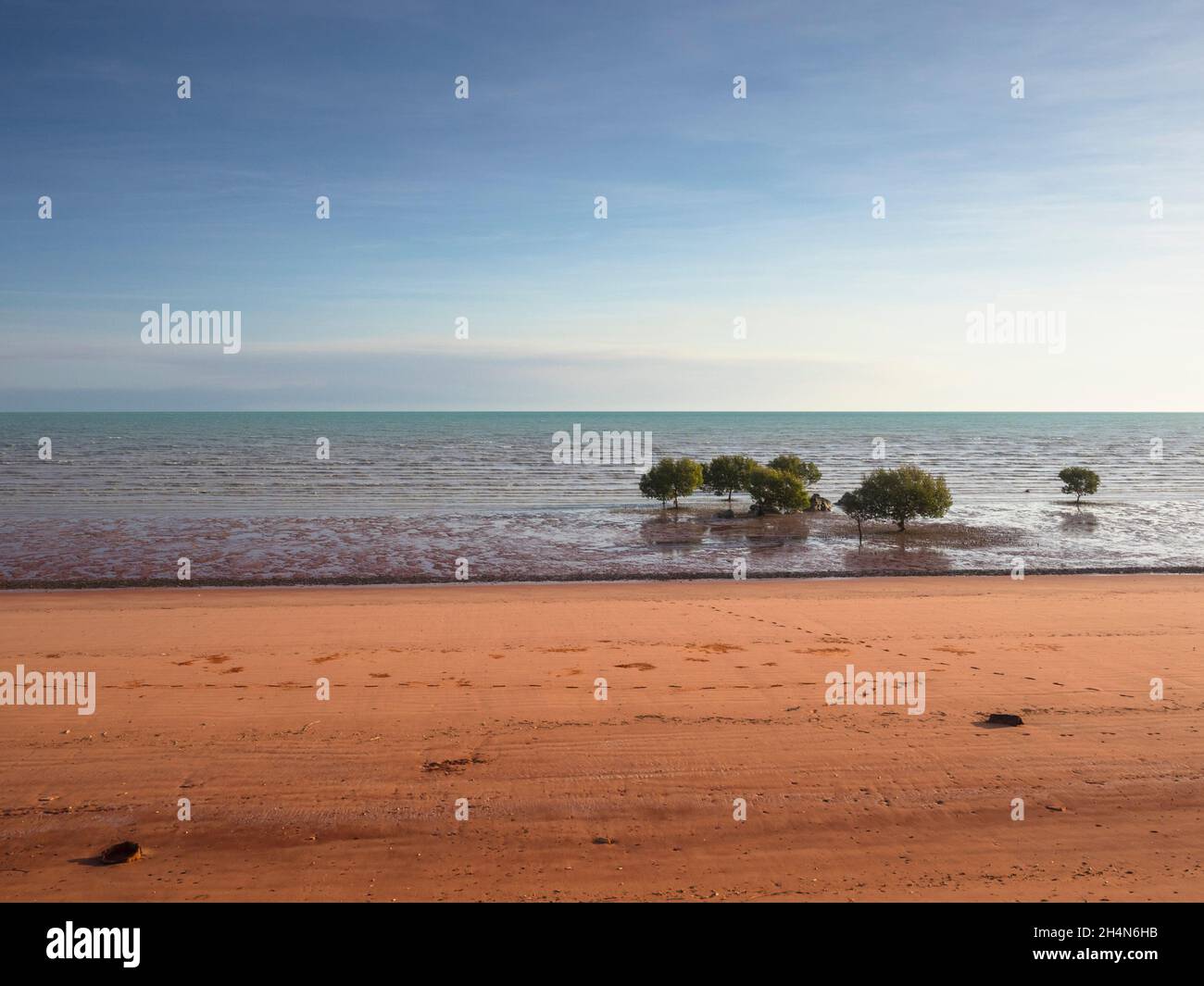 Mud flat habitat hi-res stock photography and images - Alamy