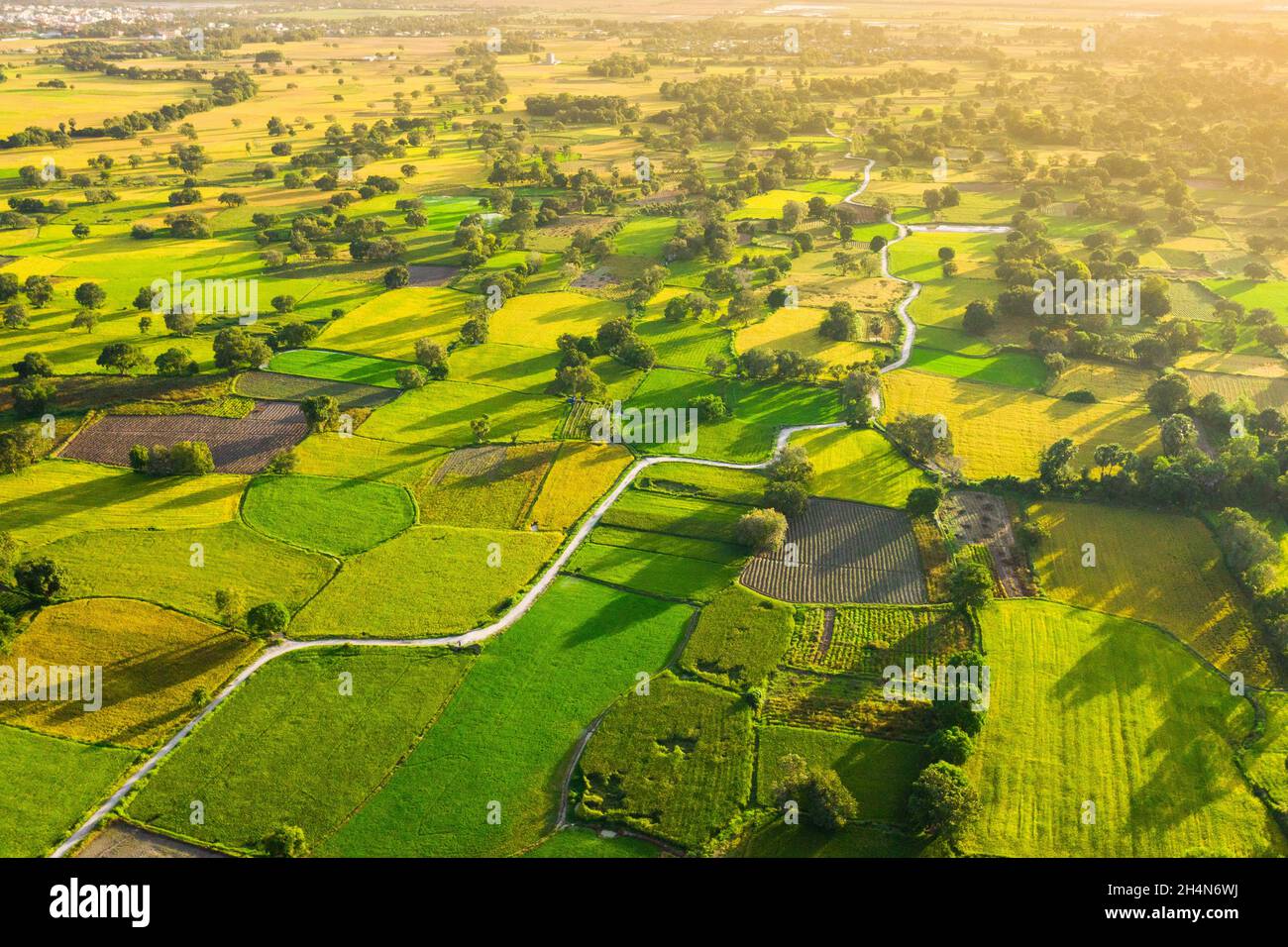 Ta Pa rice field in the morning beautiful on ripe rice days Stock Photo ...