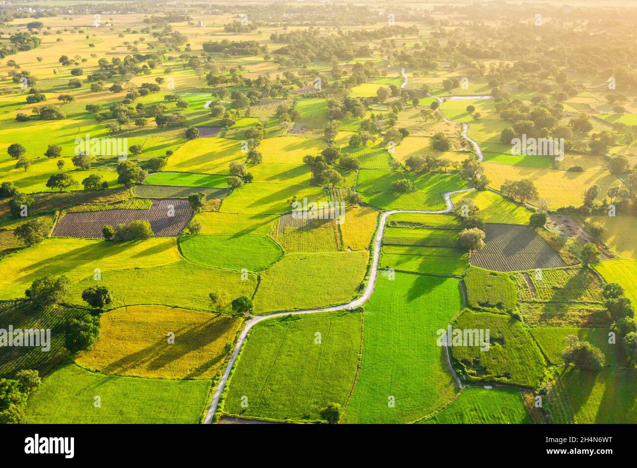 Ta Pa rice field in the morning beautiful on ripe rice days Stock Photo ...