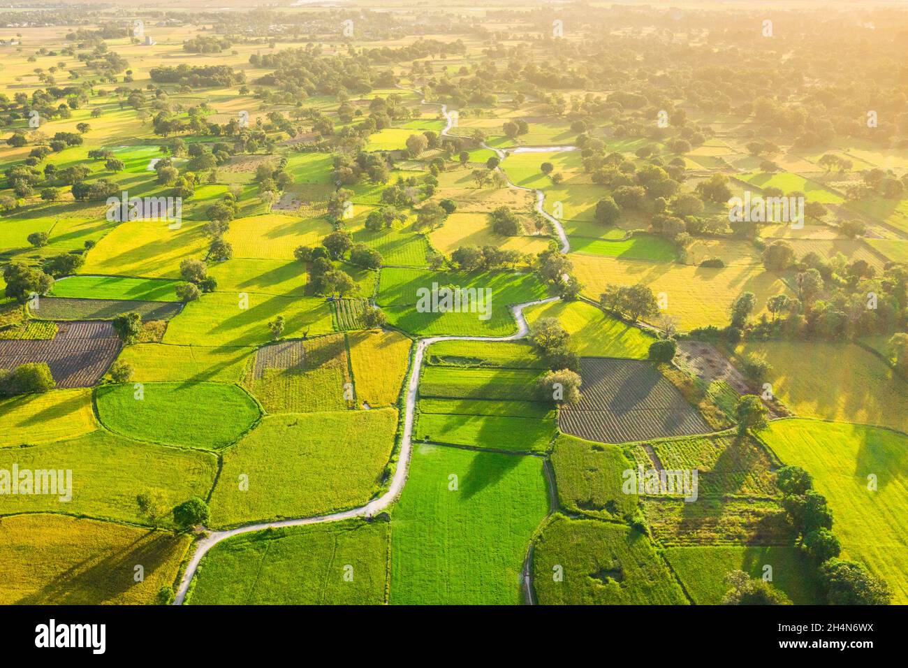 Ta Pa rice field in the morning beautiful on ripe rice days Stock Photo ...
