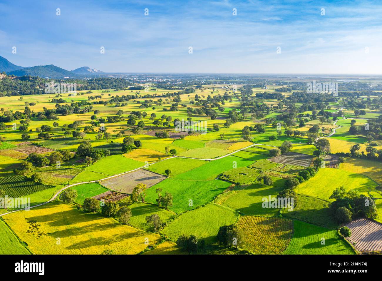 Ta Pa rice field in the morning beautiful on ripe rice days Stock Photo ...