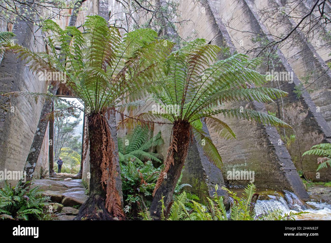 Mount Paris Dam Stock Photo - Alamy