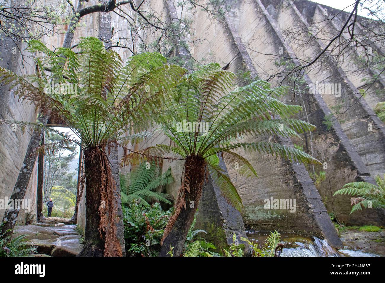 Mount Paris Dam Stock Photo - Alamy