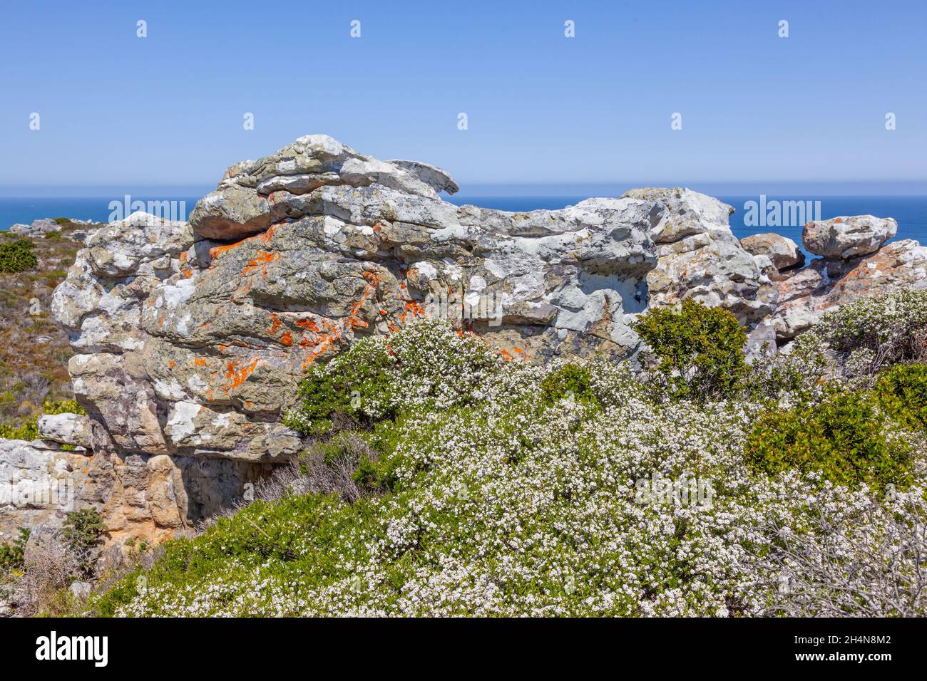 Lichen patterns on a rock, near the Cape of Good Hope in Table Mountain ...