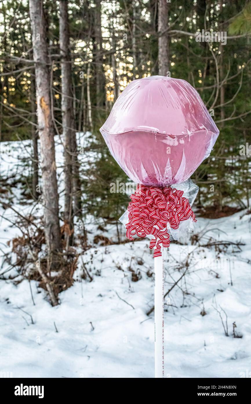 Giant lollipop alongside the driveway leading to the Sweetly Kismet ...