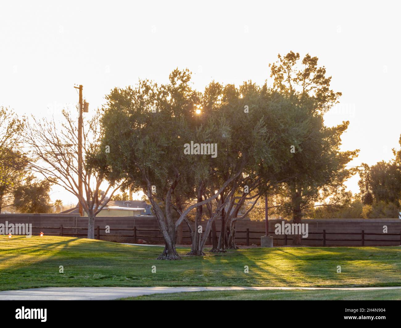 Hayley park hi-res stock photography and images - Alamy