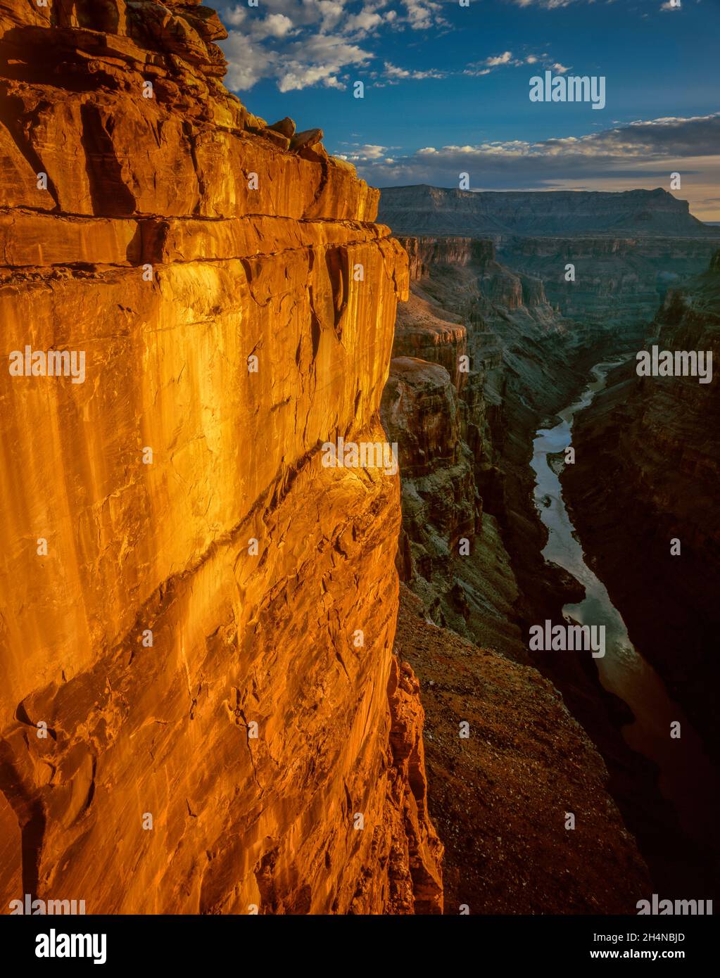 Toroweap Overlook, Colorado River, Grand Canyon National Park, Arizona ...