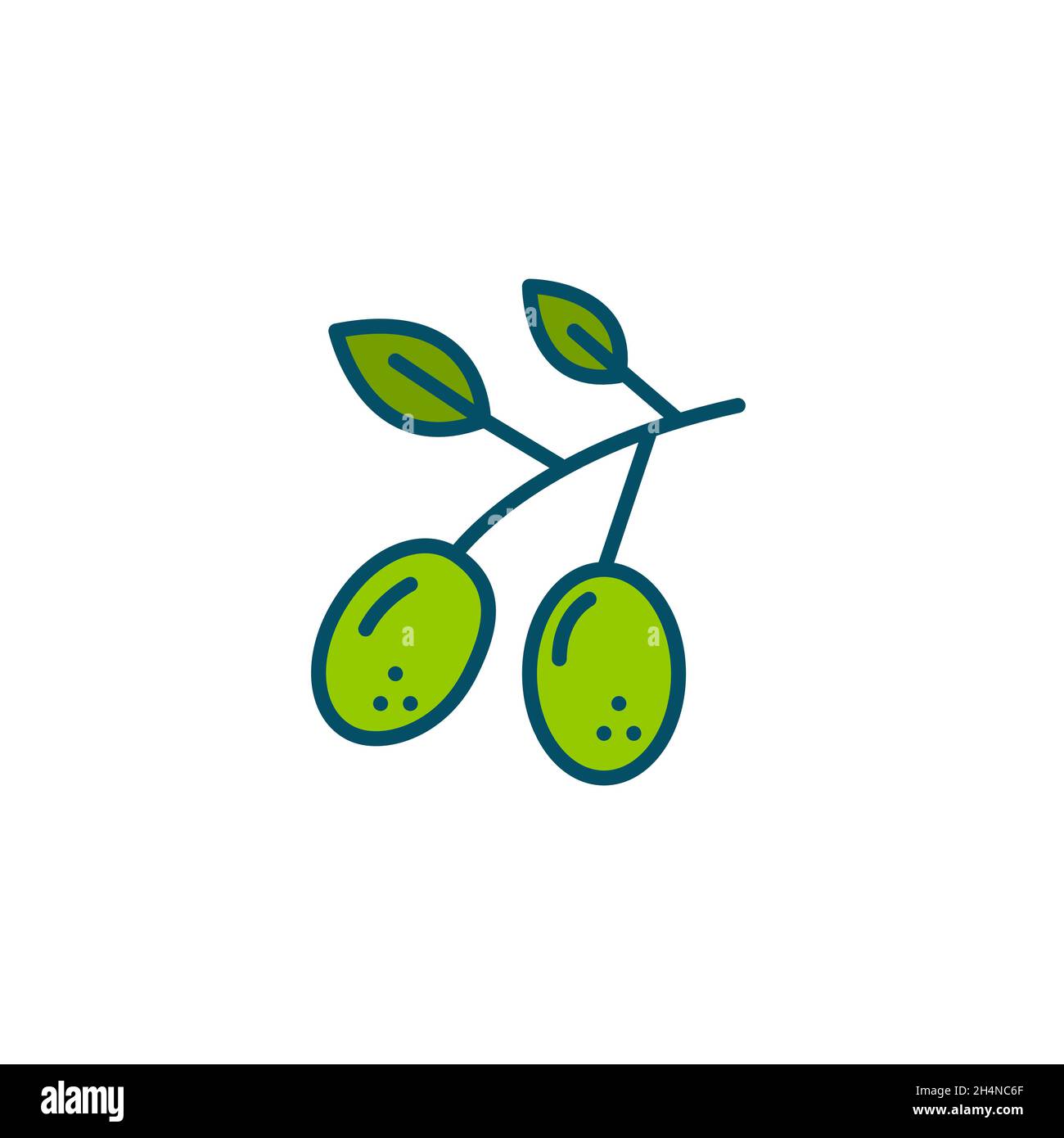 Olives on a branch with leaves. Olive oil production. Pixel perfect ...