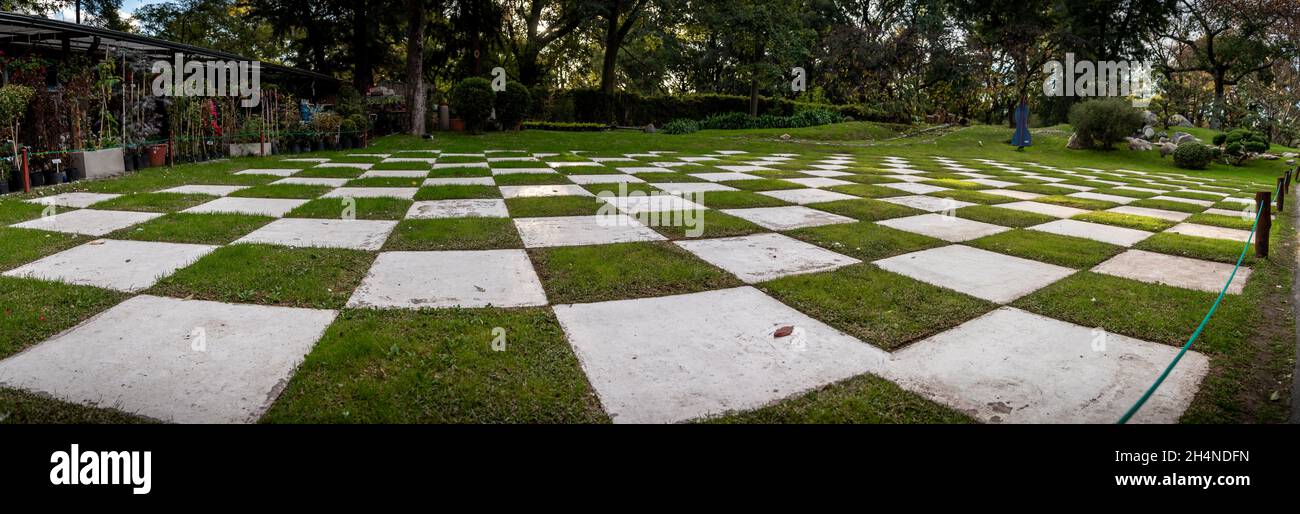 Perspective wide angle view of grid garden with grass and Quad White ...