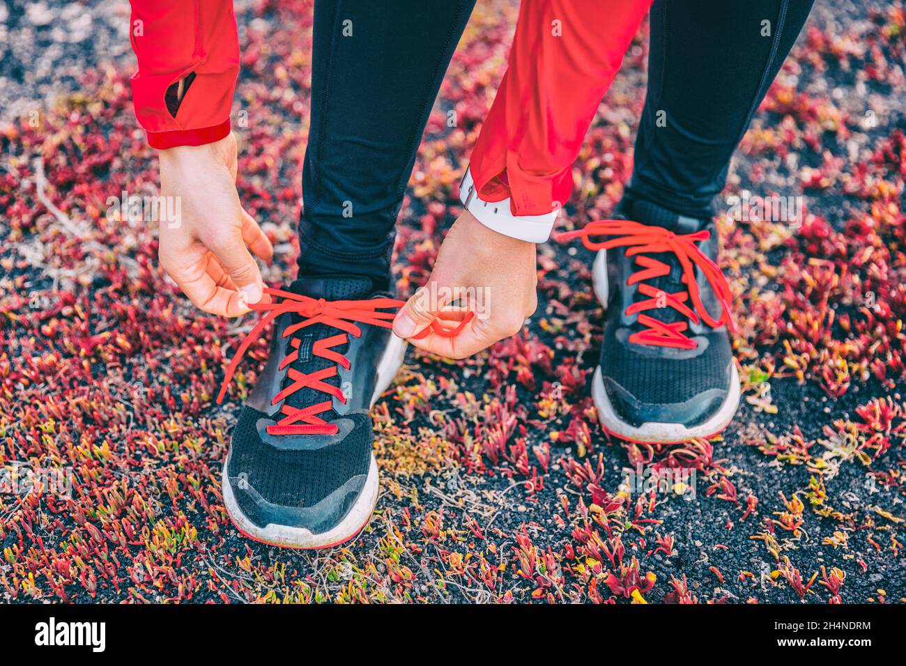 Healthy sport woman trail runner tying laces of running shoes. Athlete girl getting ready for ...