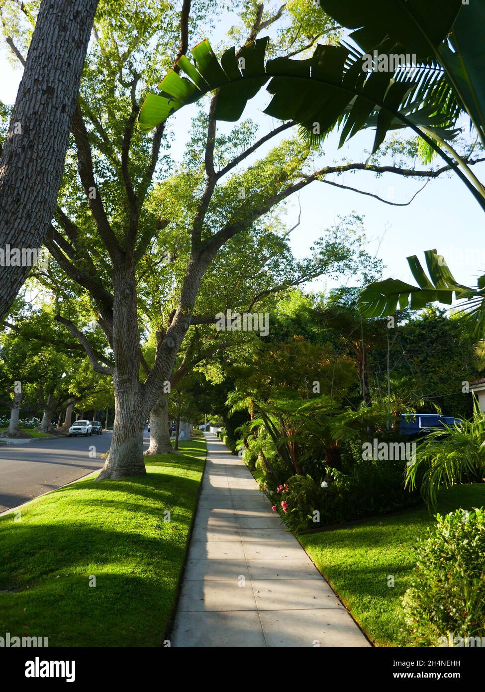 Beverly Hills, California, USA 9th September 2021 A general view of ...