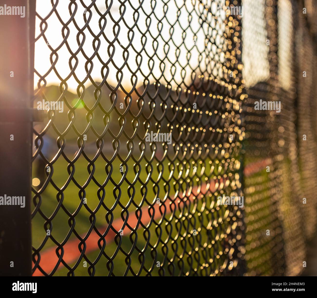 Fence with metal grid in perspective. Metal fence Part of a metal grid ...