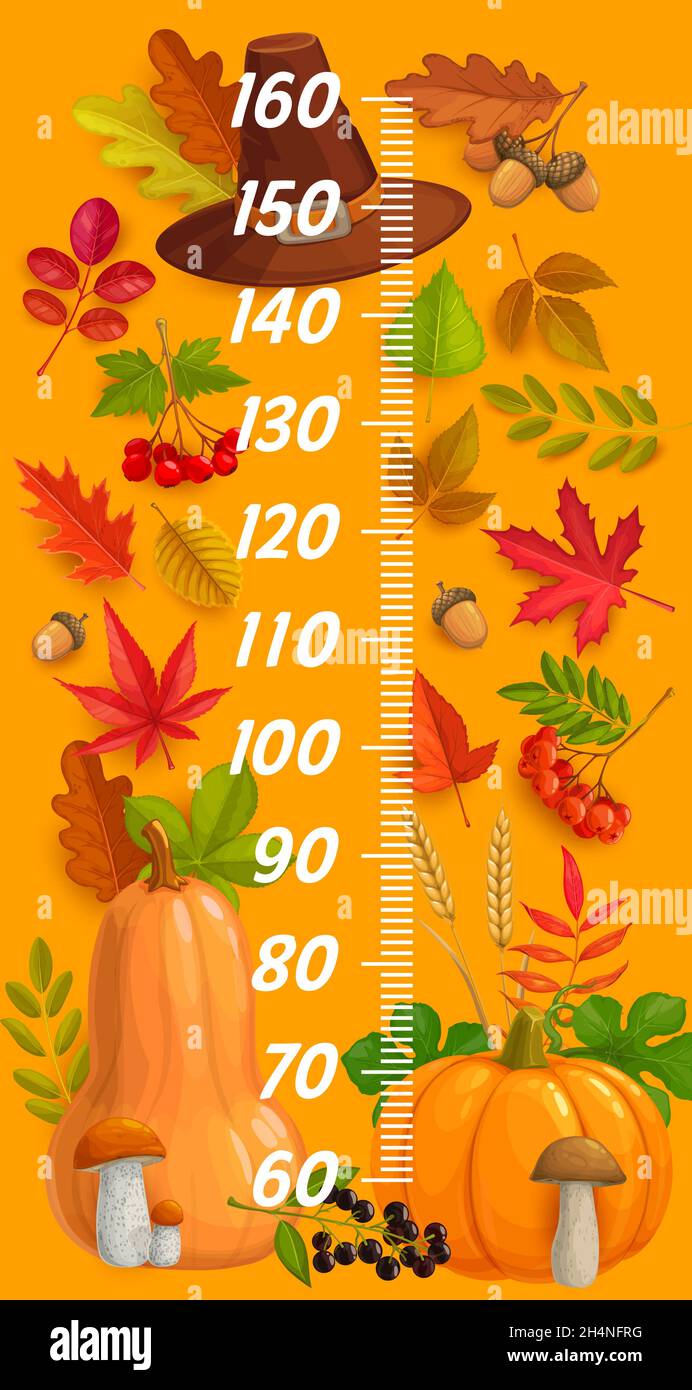 Thanksgiving autumn kids height chart with pumpkins and berry harvest ...