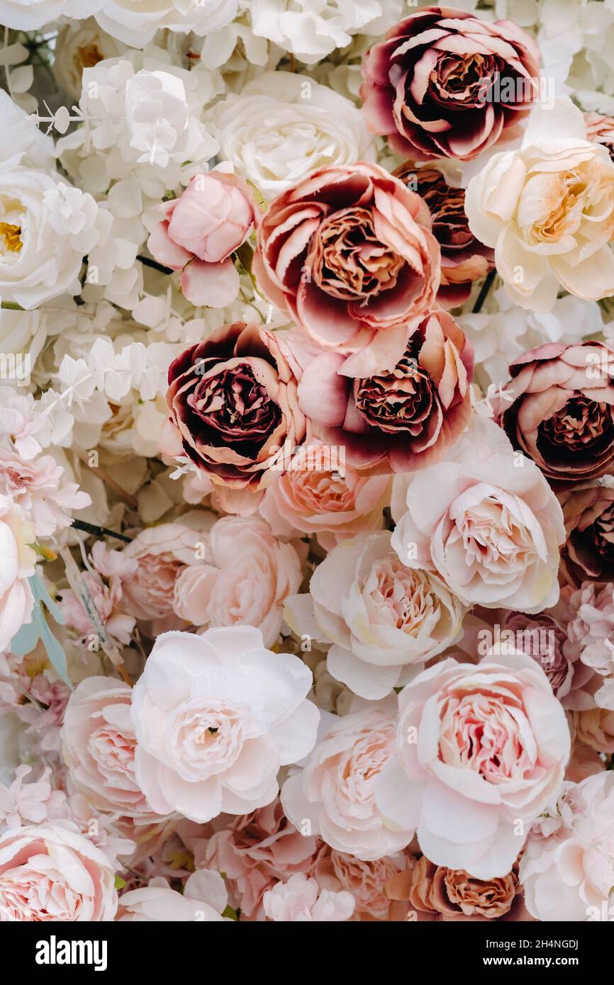 White Rose Wallpaper Tumblr