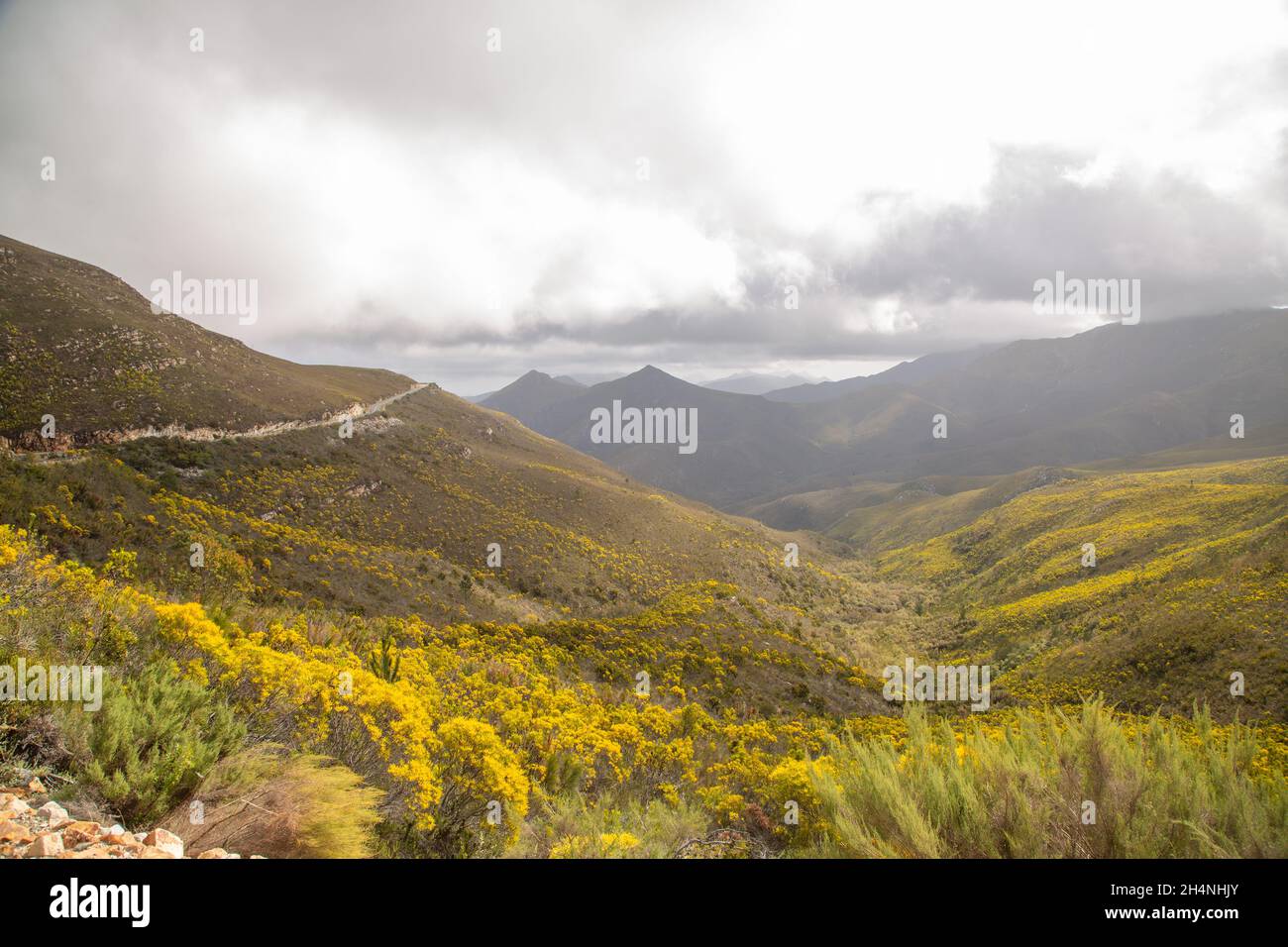 Panorama along the Robinson's Pass north of Mossel Bay in the Western ...