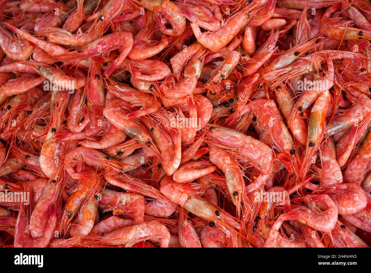 Natural background with lots of red cooked prawns. Seafood and ...
