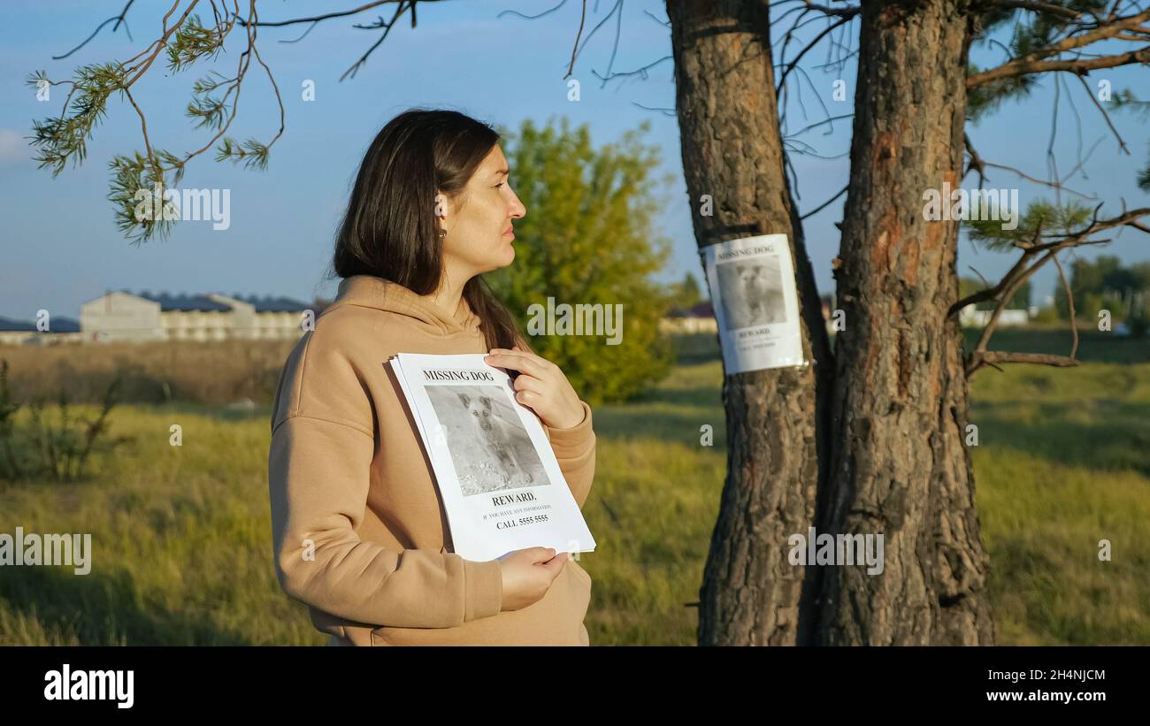 woman with flyers stack stands near poster report of missing dog with ...