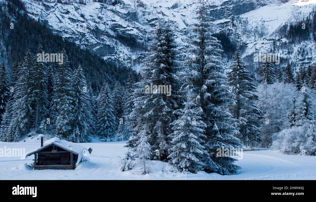 intense cold snow and ice at high altitudes Stock Photo - Alamy