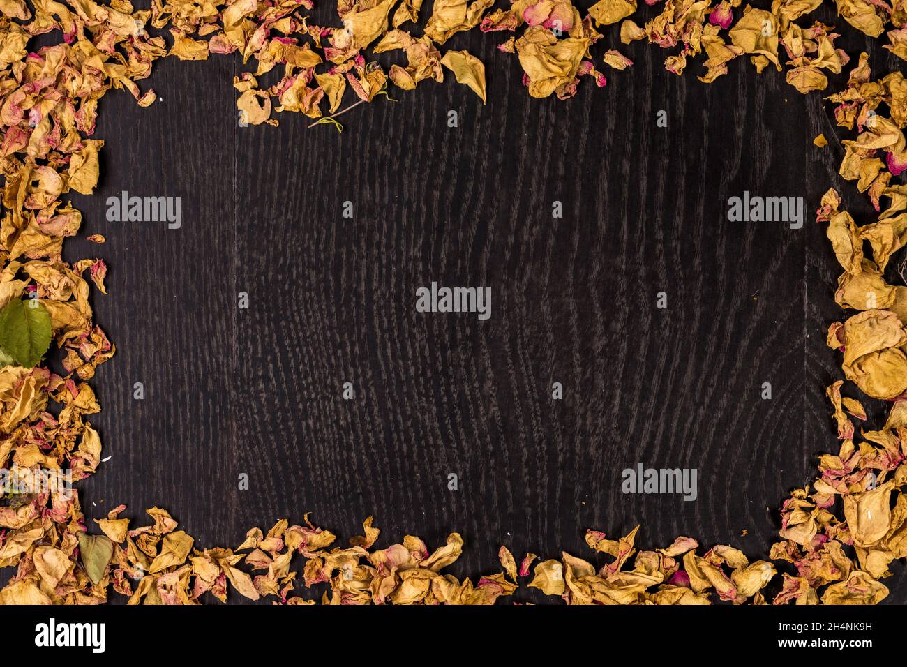 Pile of pink dried roses on black wooden background as border Stock ...