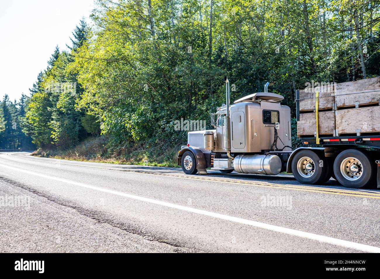 Powerful beige big rig classic semi truck transporting fixed by slings ...