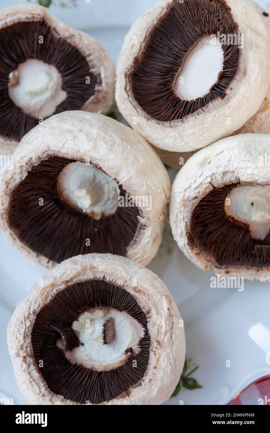 Vertical macro shot of hymenophores of cut champignon caps also known ...