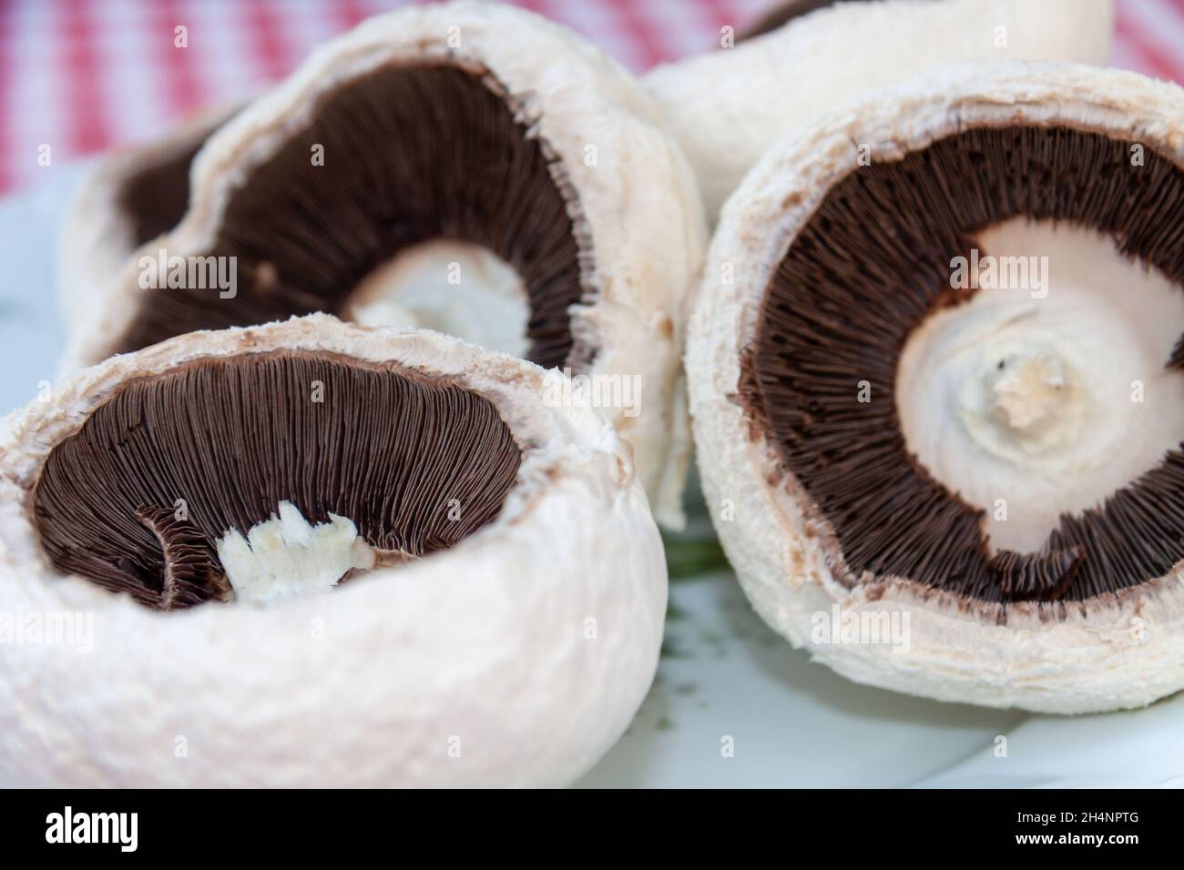 Champignon agaricus bisporus mushroom hi-res stock photography and ...