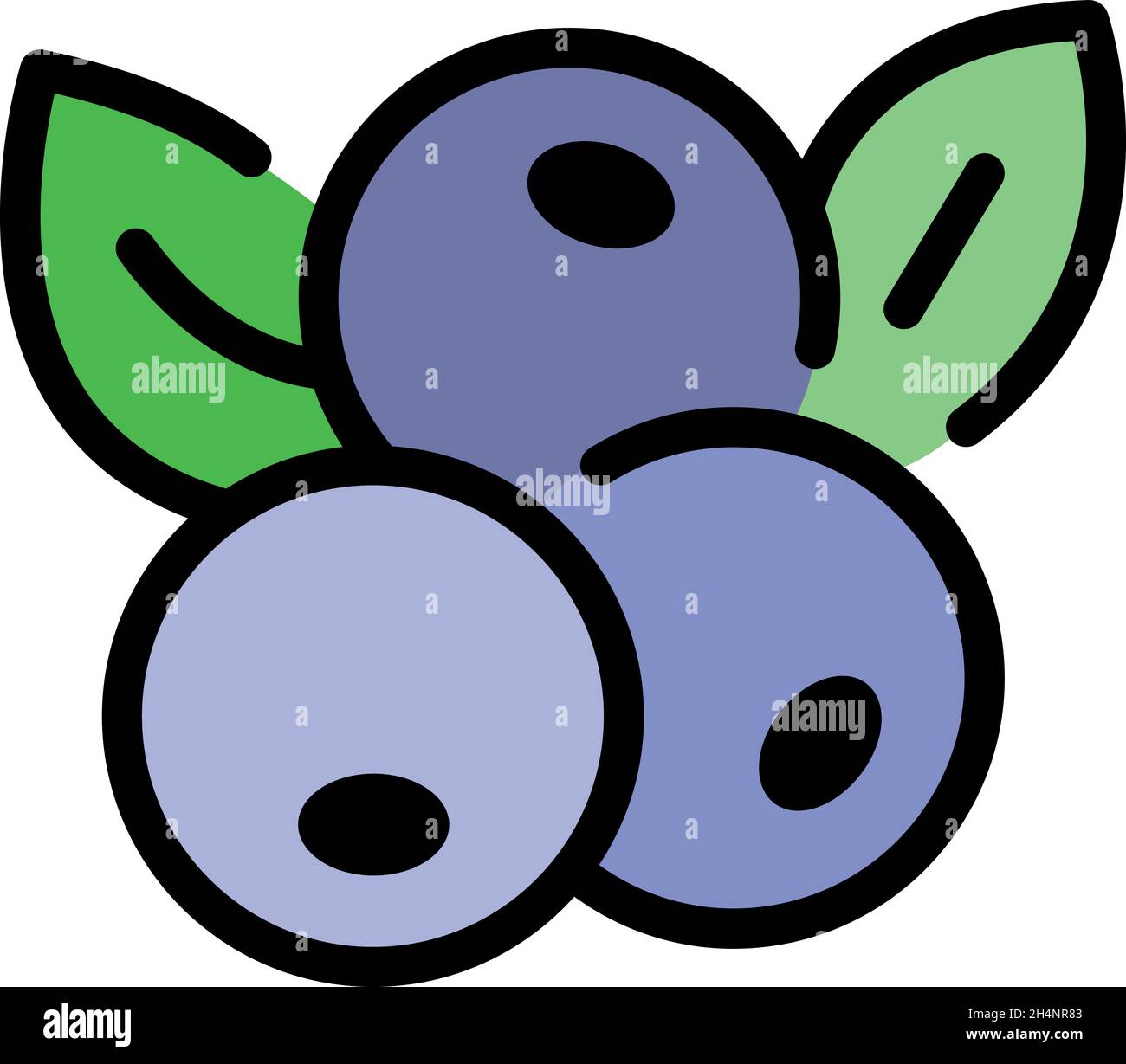 Ash tree berry icon. Outline ash tree berry vector icon color flat ...