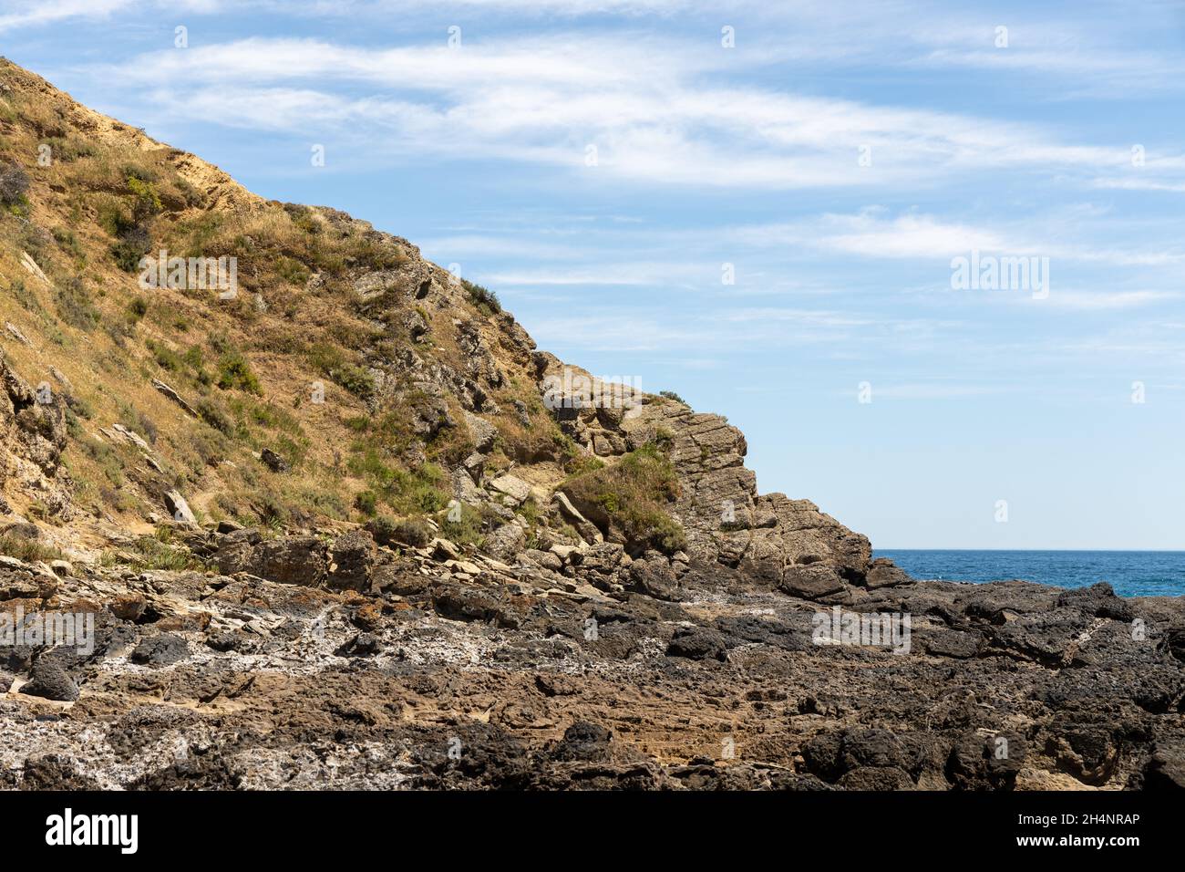 The beach front hillside in Myponga South Australia on October 26th ...