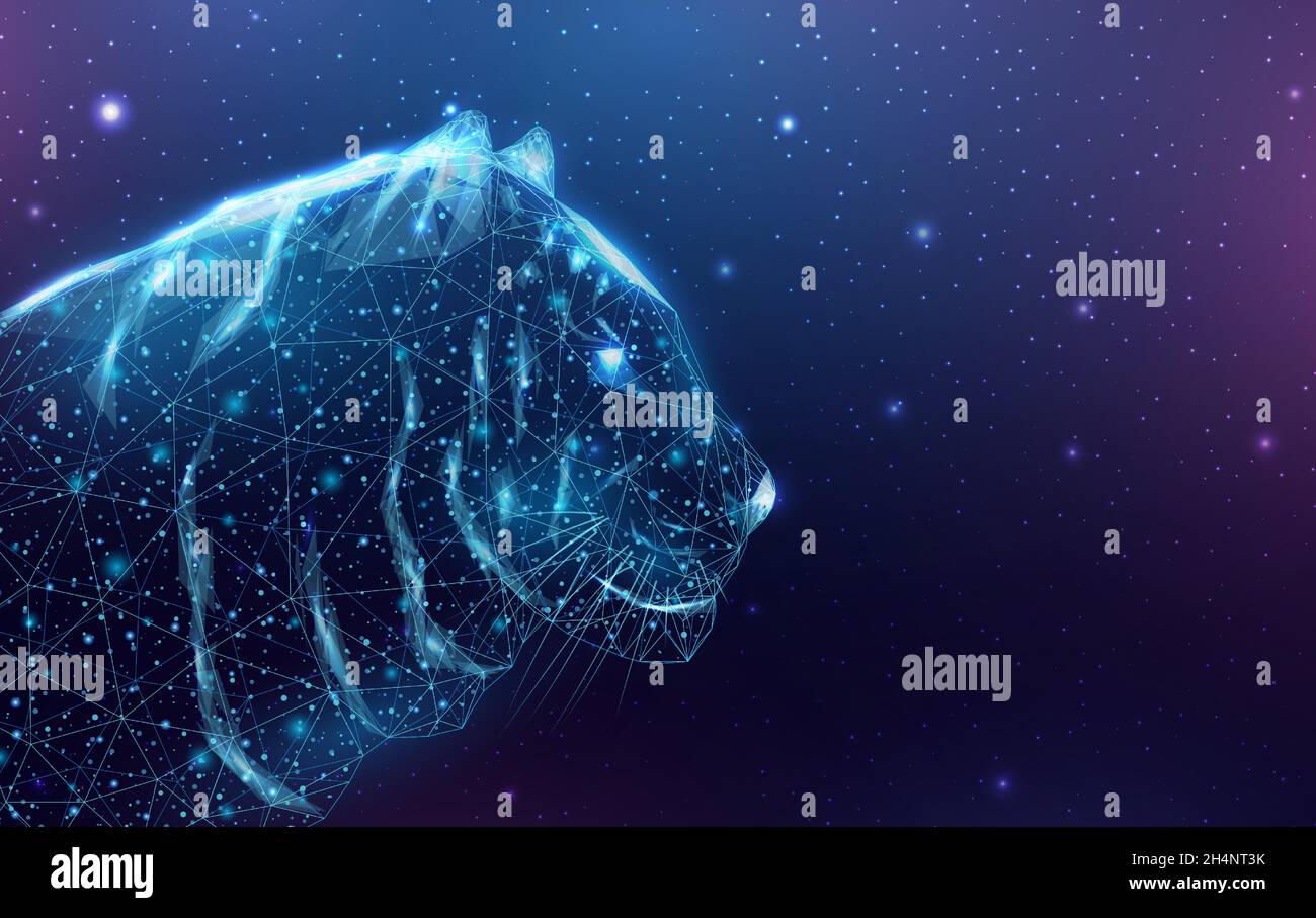 Wireframe polygonal tiger. Concept with glowing low poly head tiger ...