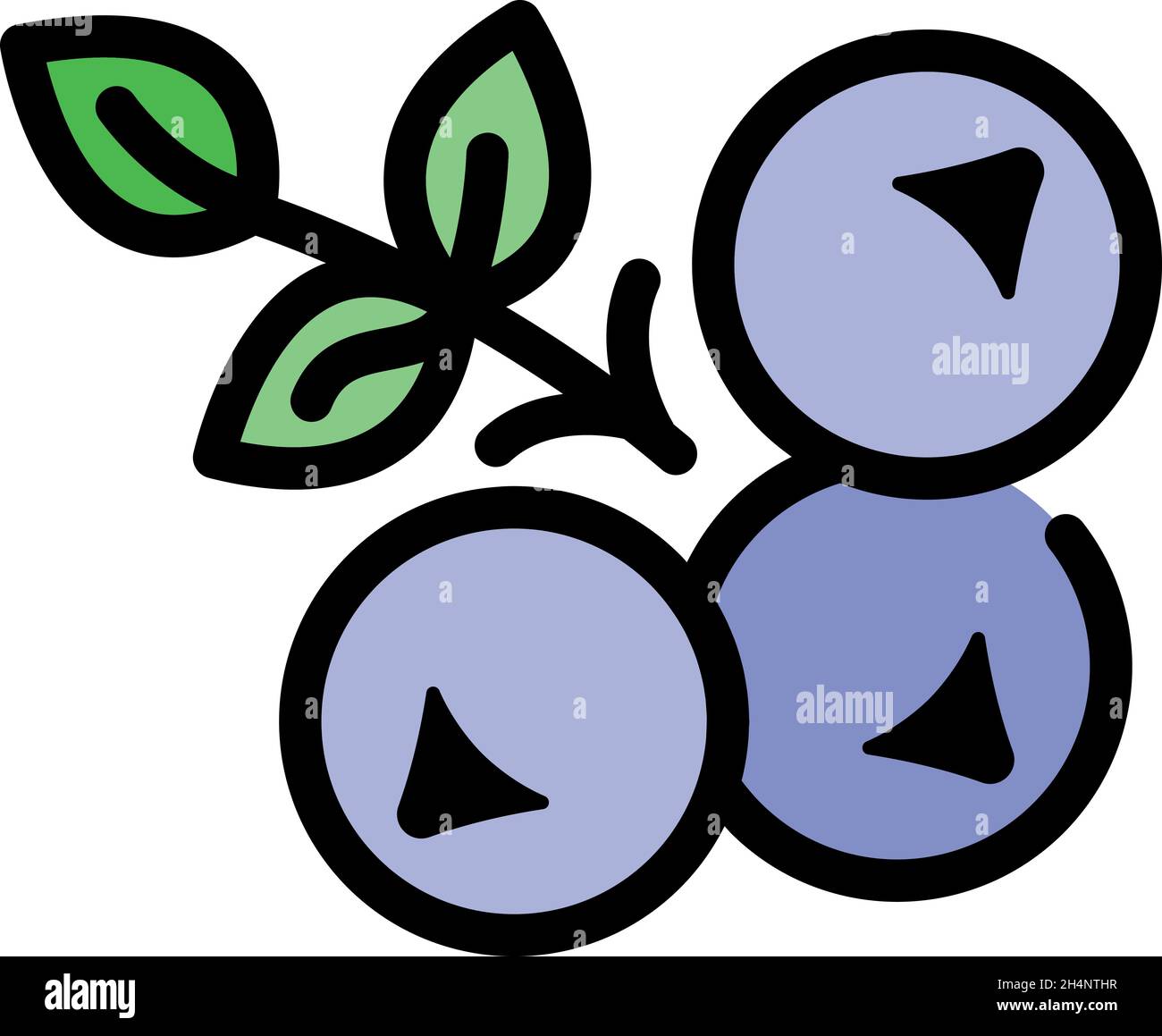 Rowan icon. Outline rowan vector icon color flat isolated Stock Vector ...