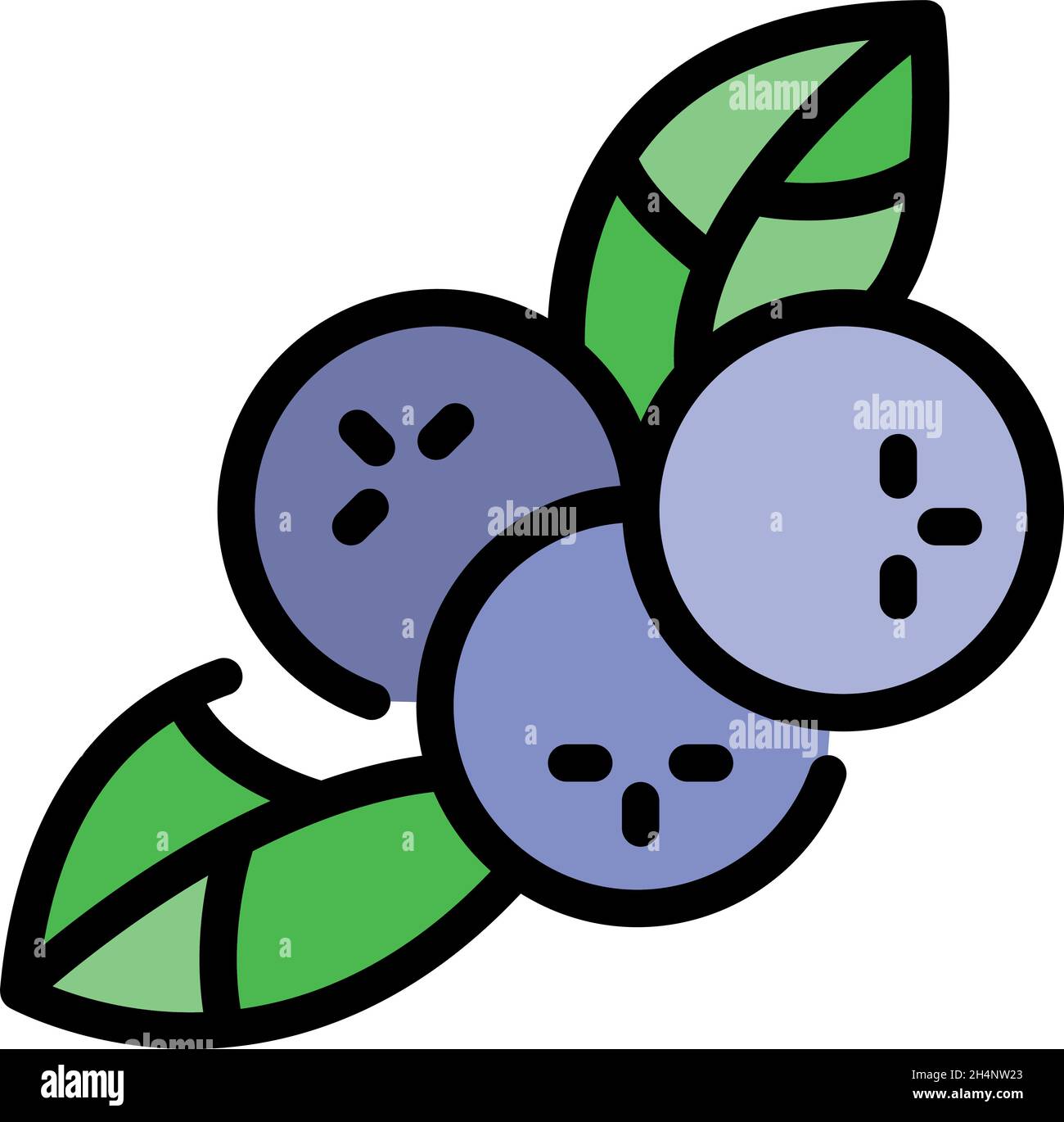 Natural rowan icon. Outline natural rowan vector icon color flat ...