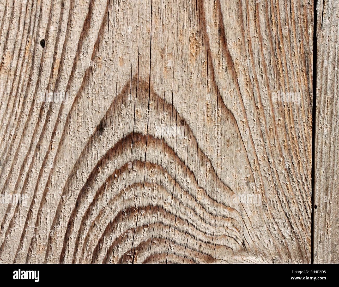light wood with interesting grain Stock Photo - Alamy