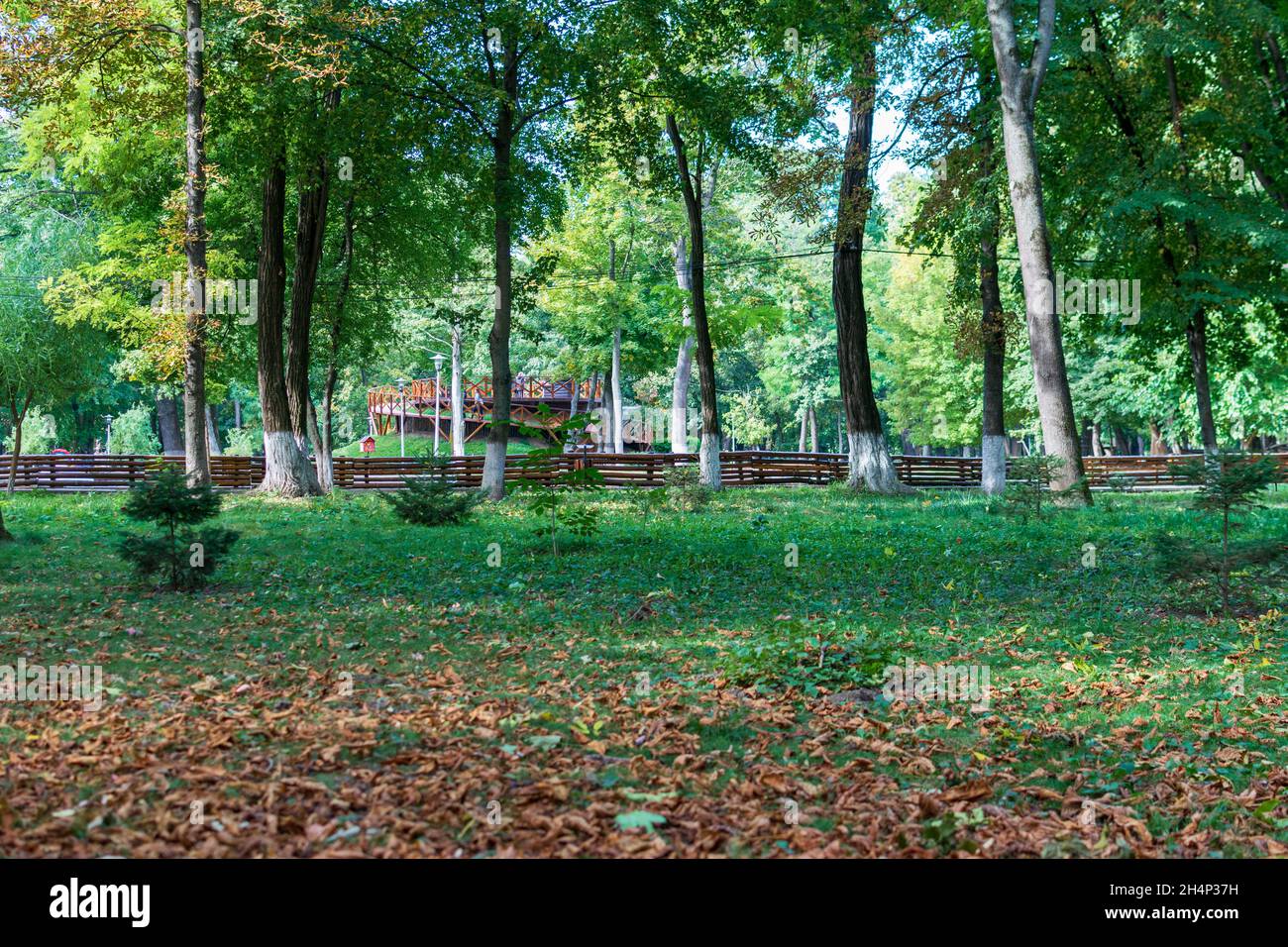 The autumn in the park, Roman Park, Neamt, Romania Stock Photo - Alamy