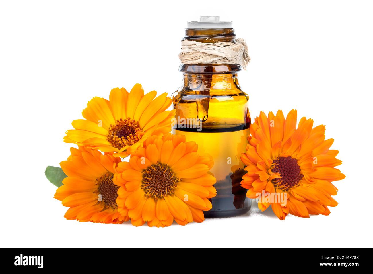 Essential oil marigold flower Cut Out Stock Images & Pictures - Alamy