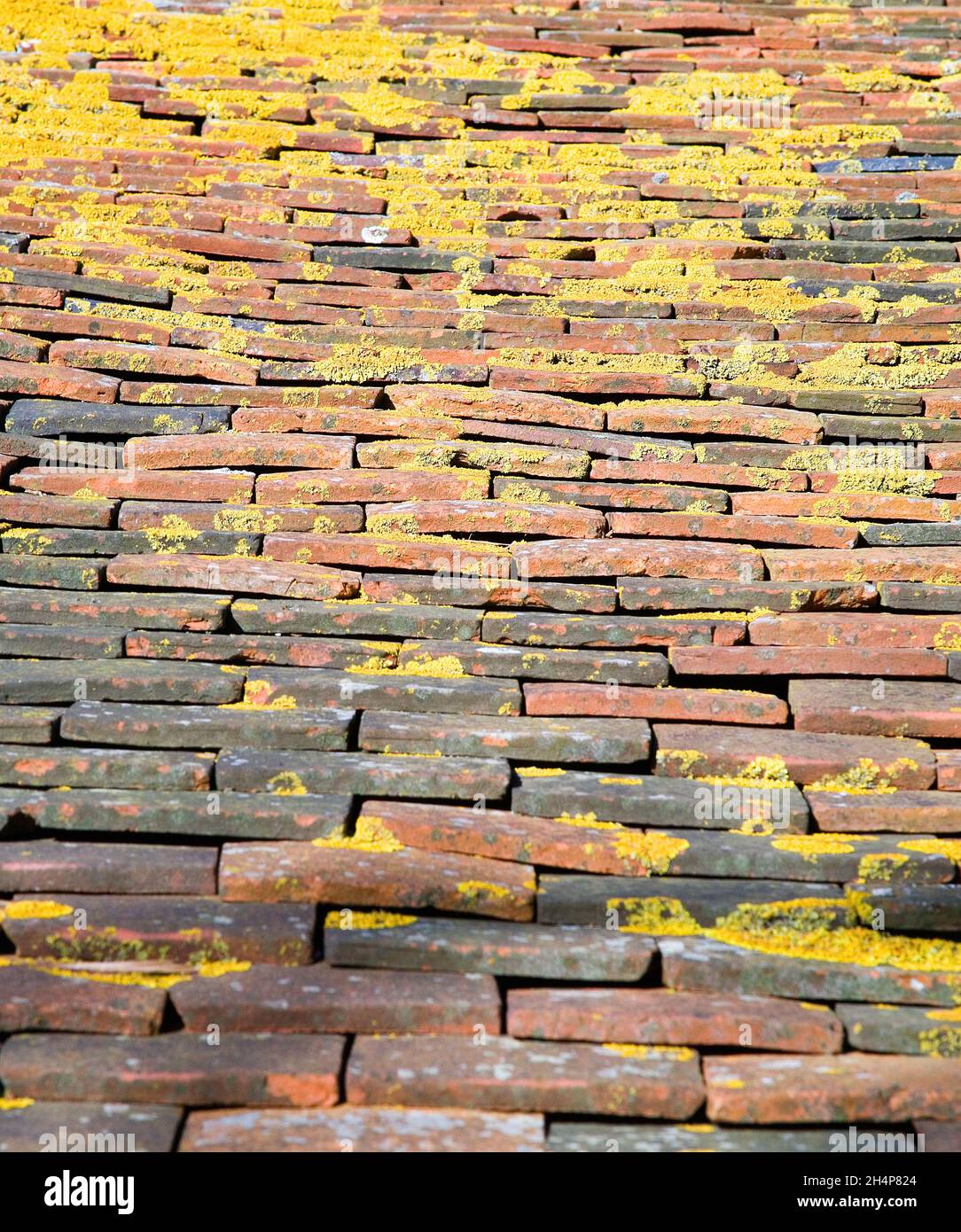 st peters rodmell parish church roof in the south downs national part ...
