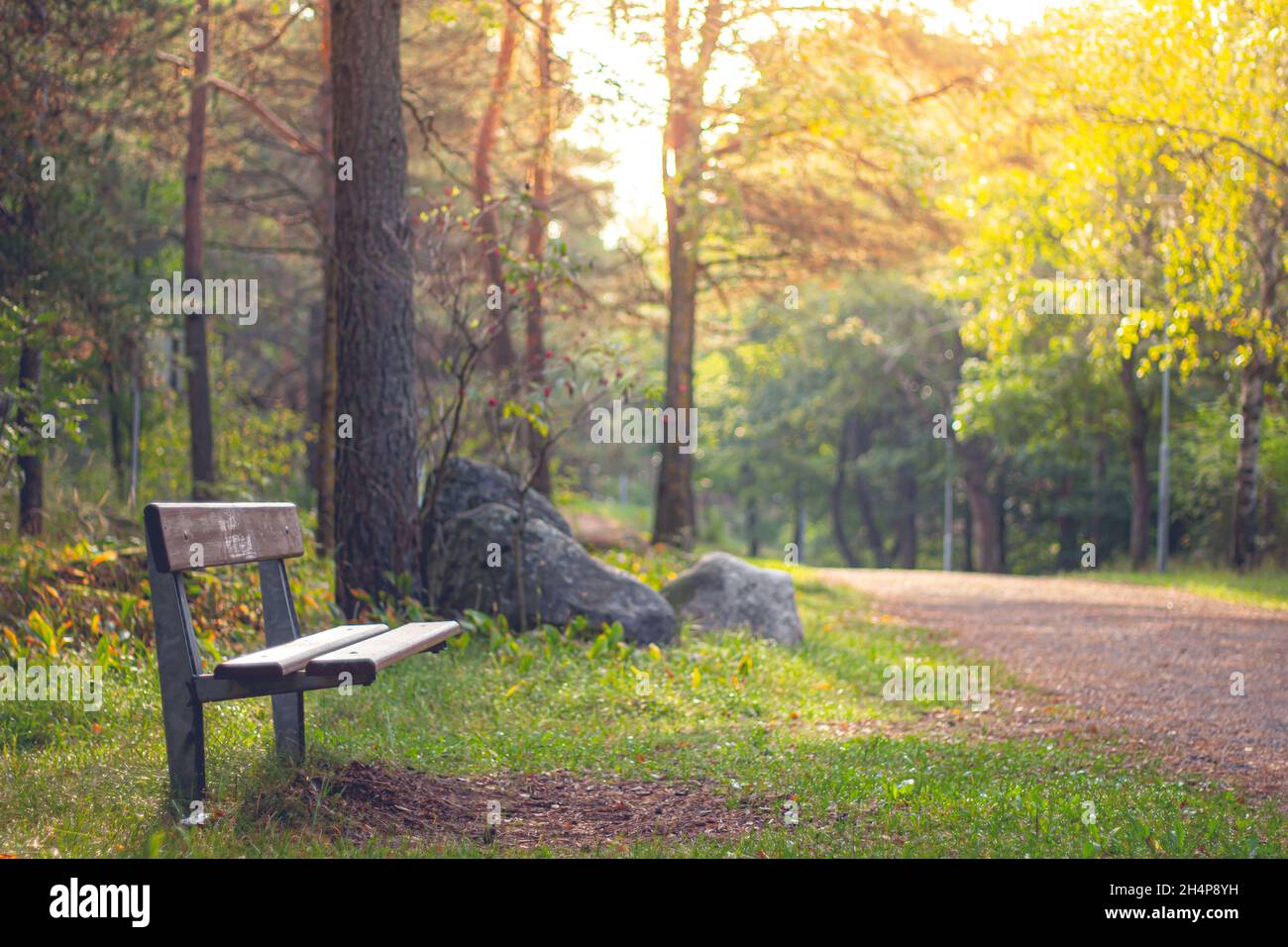 Serene landscape of an empty wooden bench in a park at fall Stock Photo ...
