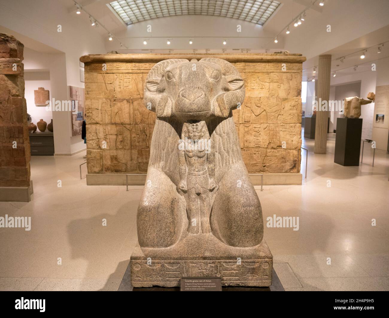 Sculpture of the Egyptian god Amun, with ram, exhibited in the ...