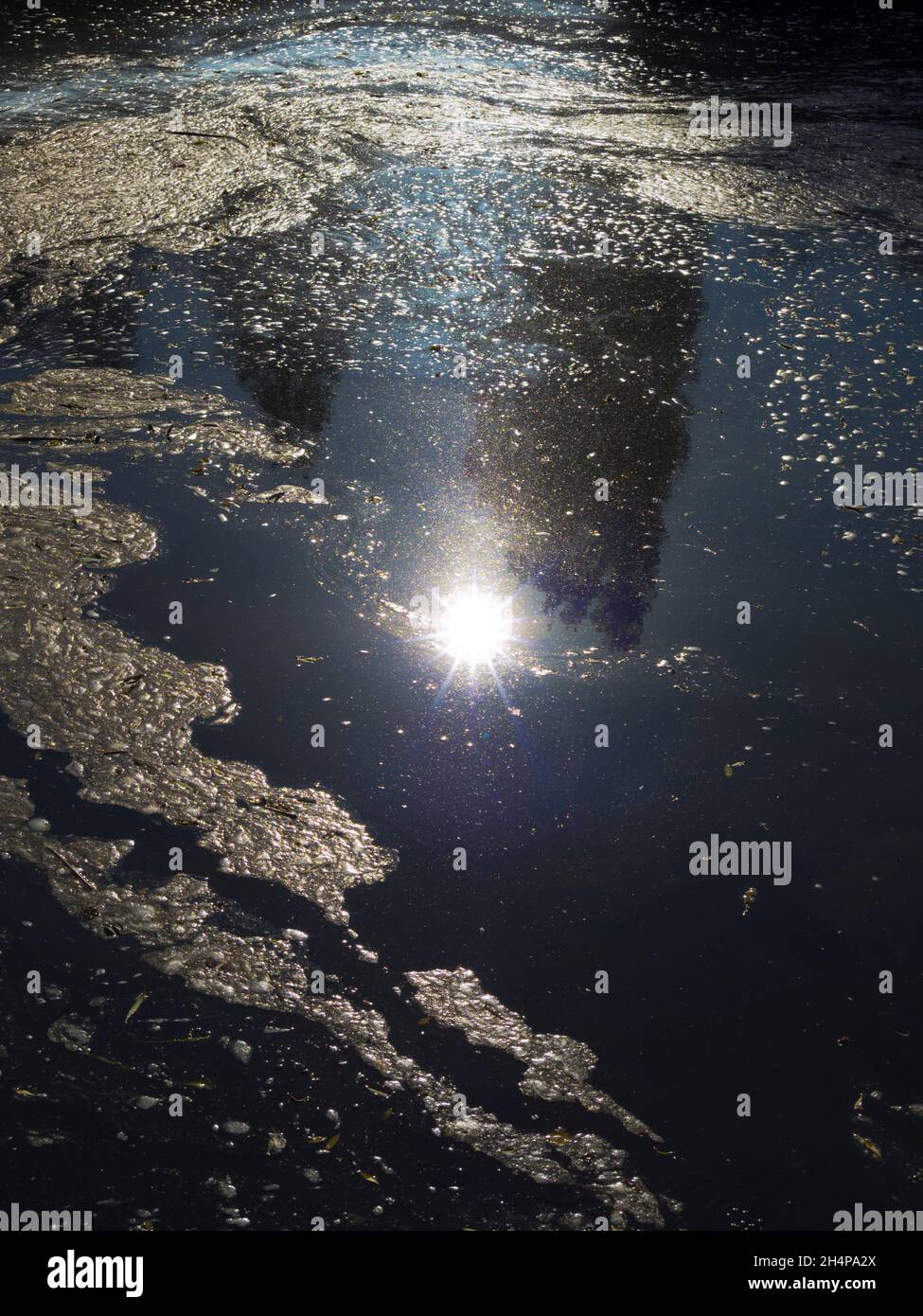 River weeds uk hi-res stock photography and images - Alamy