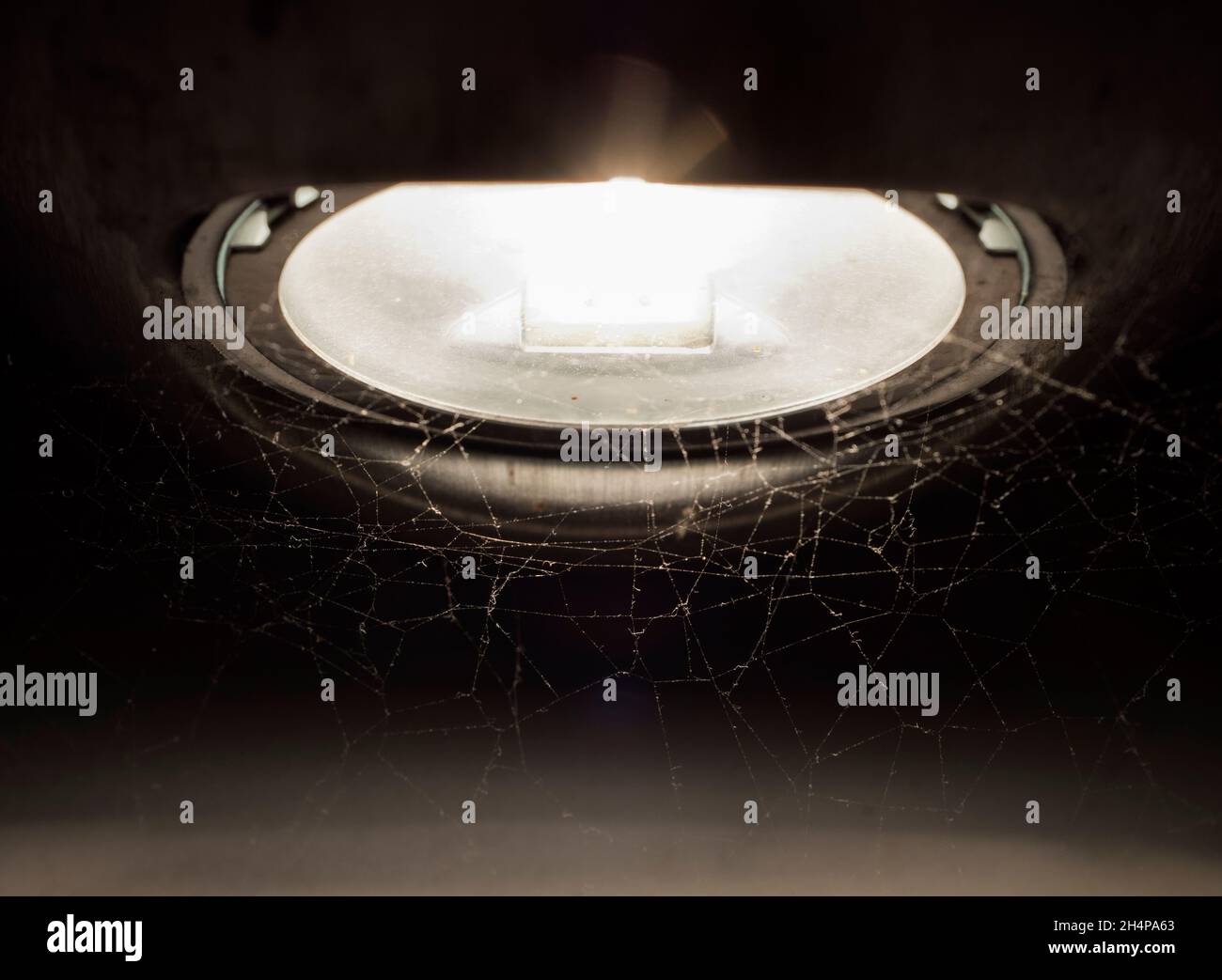 Domestic still life: kitchen light and spider web Stock Photo - Alamy