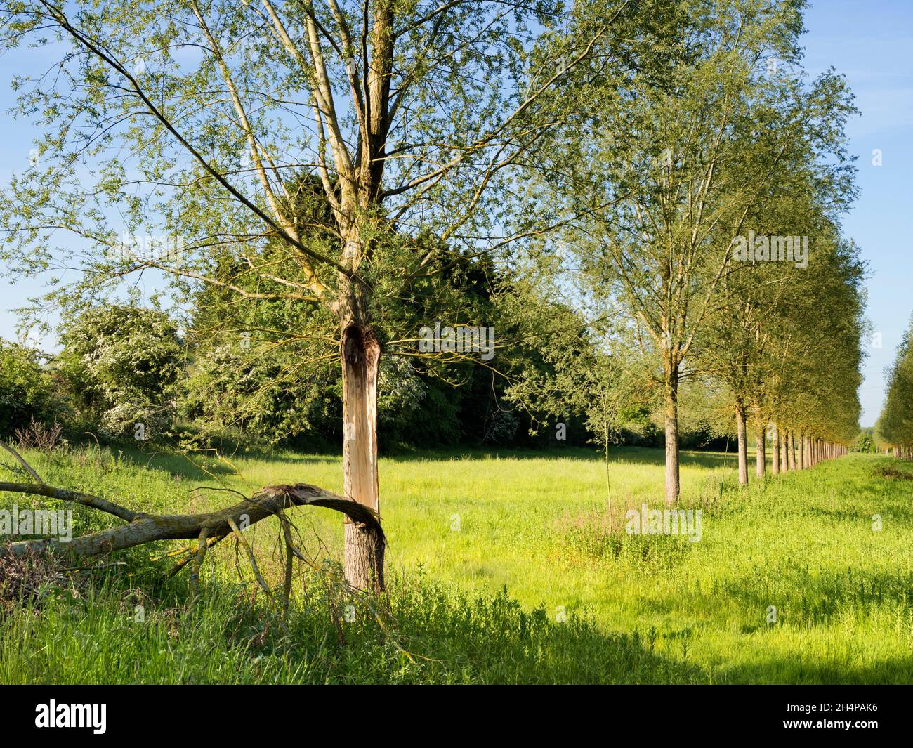 Shattered tranquility hi-res stock photography and images - Alamy